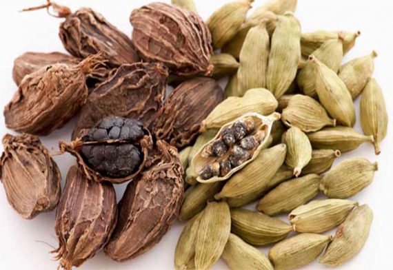 Tansiyonu Düşüren Baharatlar Herkes Bilmeli - Sağlık Paylaşımları